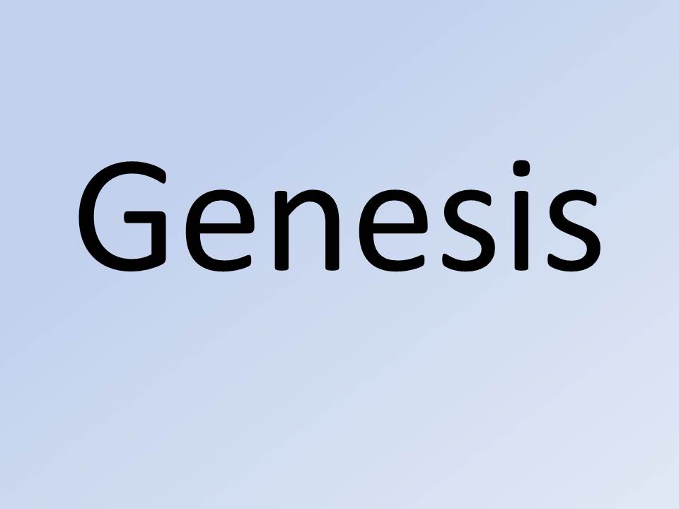 room 305 | Life of Christ